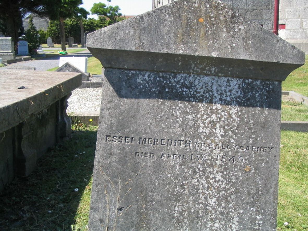 The Irish Merediths - Images